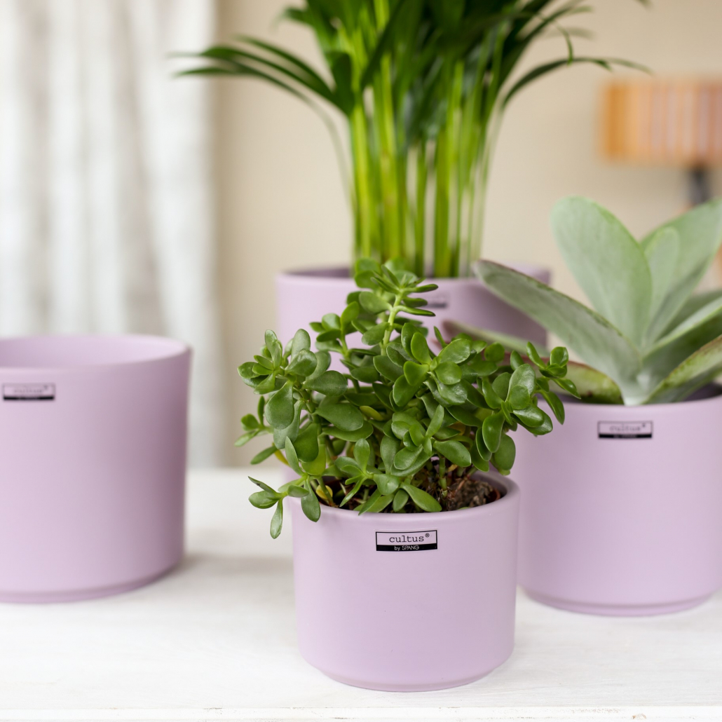 Kollektion – Spang Keramik